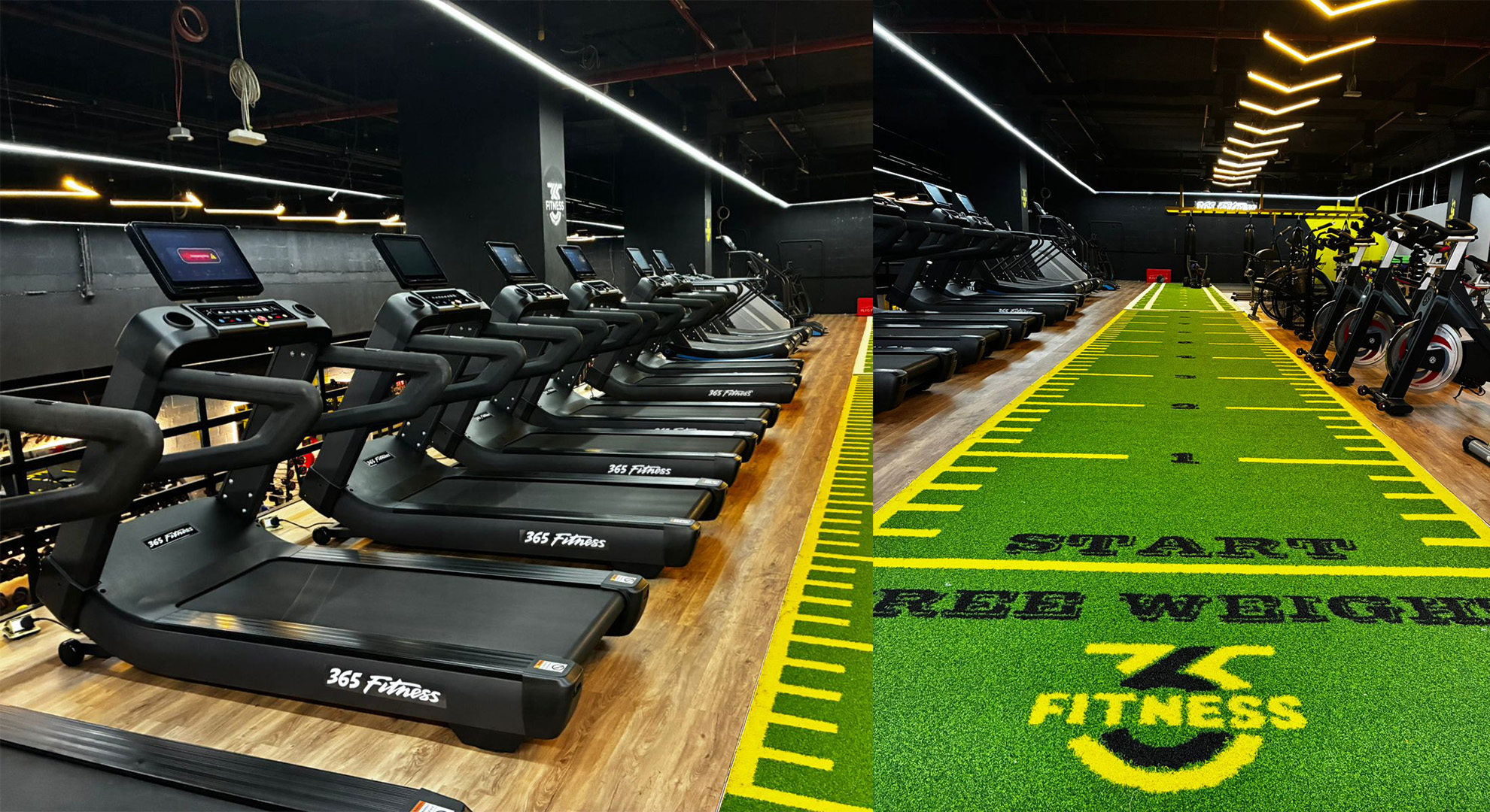 Best Gym in Dubai | 365 Fitness Gym | 24-Hour Open & Ladies-Only Area