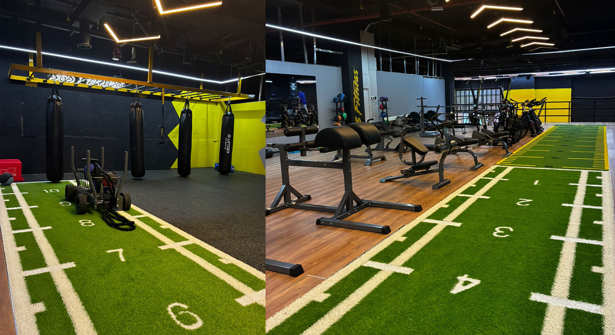Best Gym in Dubai | 365 Fitness Gym | 24-Hour Open & Ladies-Only Area